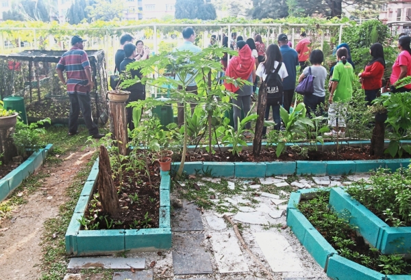 Green effort yields success in USJ 14 | The Star