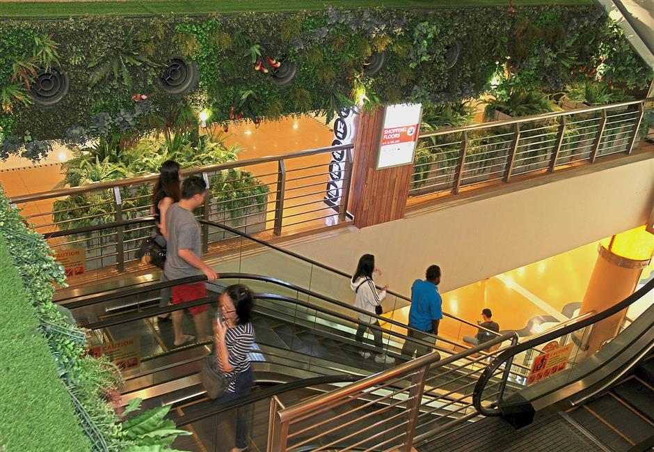 Mall alive with sounds of the rainforest | The Star Online