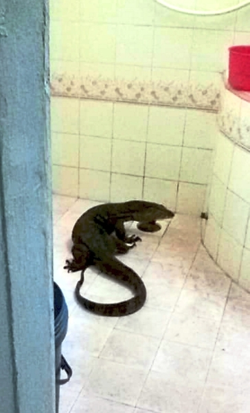 Stalled project turned into eyesore | The Star