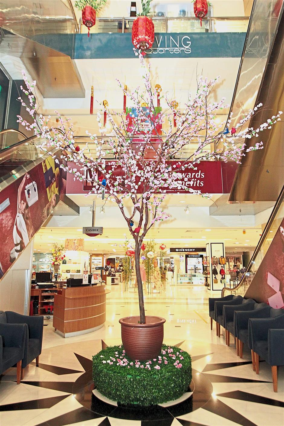 Blossoming into the new year | The Star