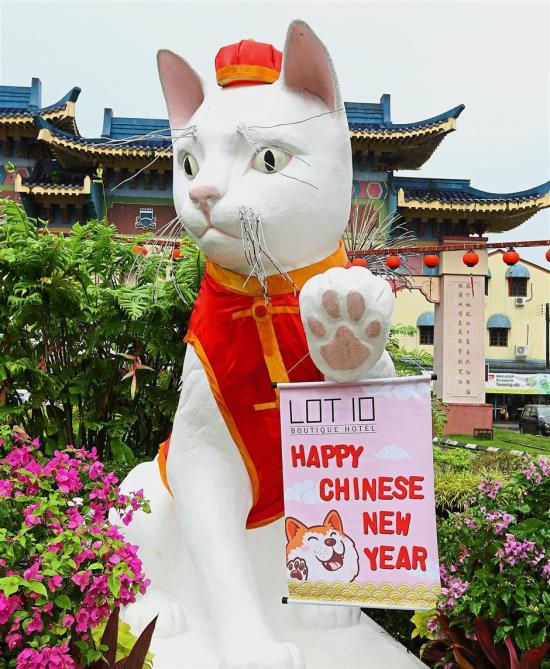 Iconic cat is all dressed up to welcome the Dog | The Star