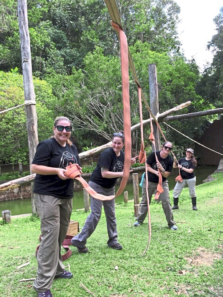 Improved conditions for neglected apes | The Star