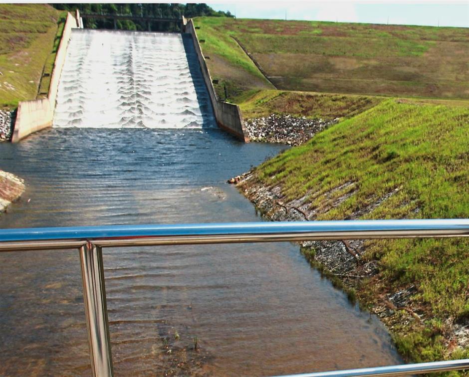 Stray dogs captured in Kuching | The Star