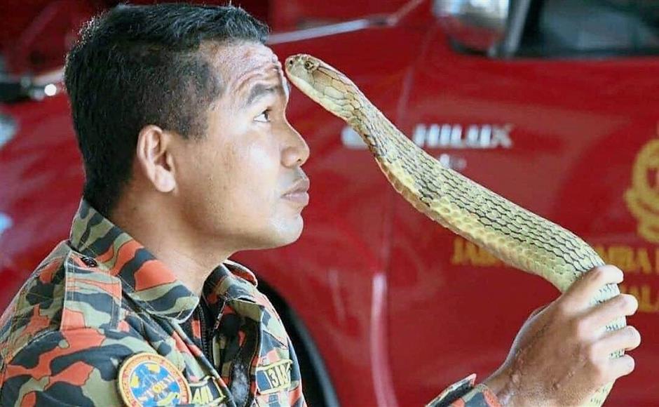 ‘Snake whisperer’ was friendly and dedicated | The Star