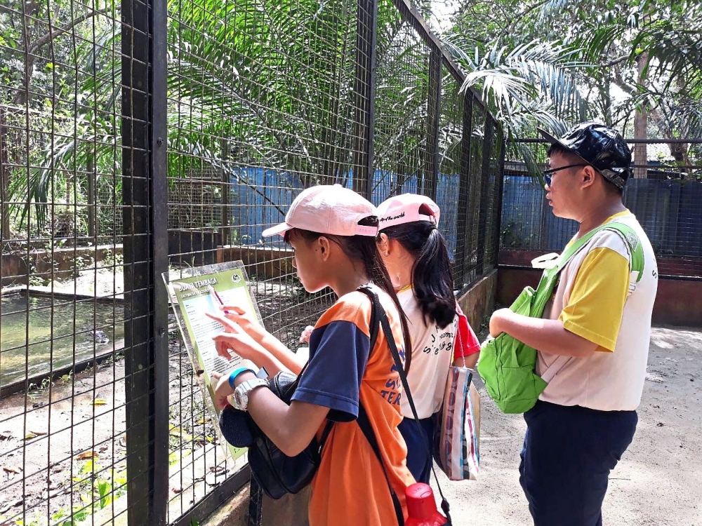 Wildlife explorer programme for kids | The Star