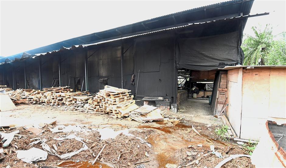 Spilling the beans on dirty food makers | The Star