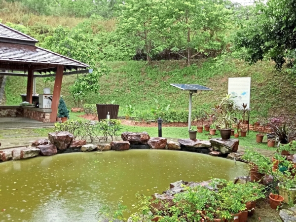 Adding green feather to its cap | The Star