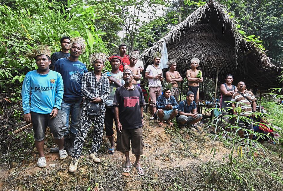 A struggle for native land rights | The Star