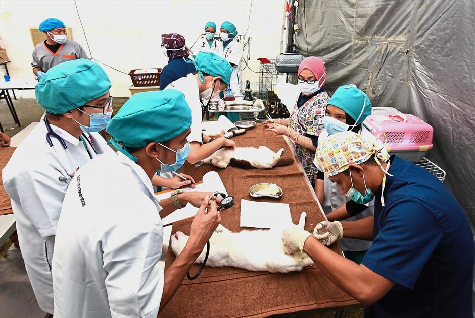 Promoting proper animal care | The Star