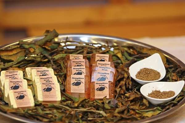 Students’ mango soap smells like a winner | The Star