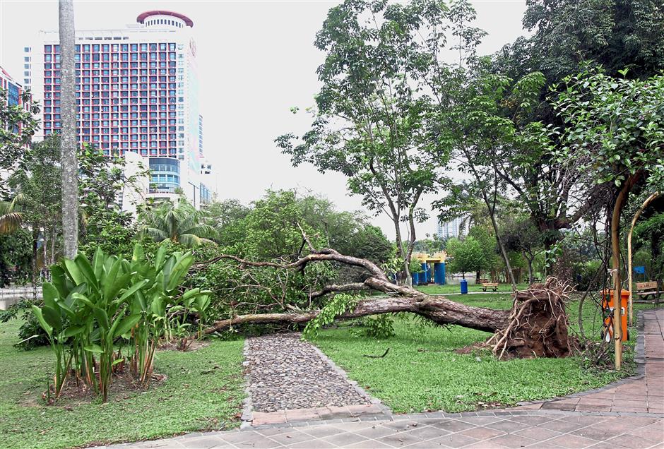 Storm wreaks havoc in Taman Jaya, PJ | The Star
