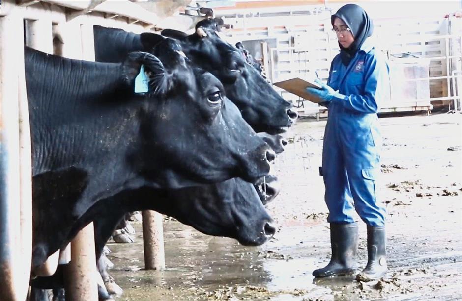 The value of technical skills | The Star