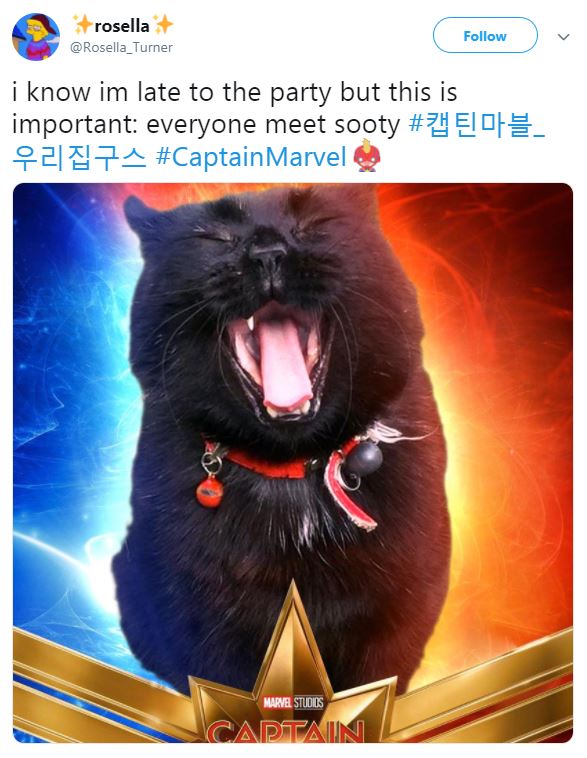 Captain Marvel’s cat starts new meme trend and it’s paw-dorable | The Star