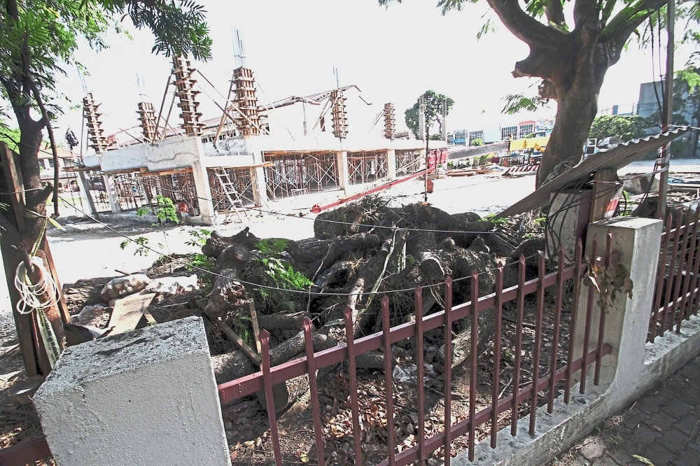 Raintree’s fate hangs in the balance | The Star