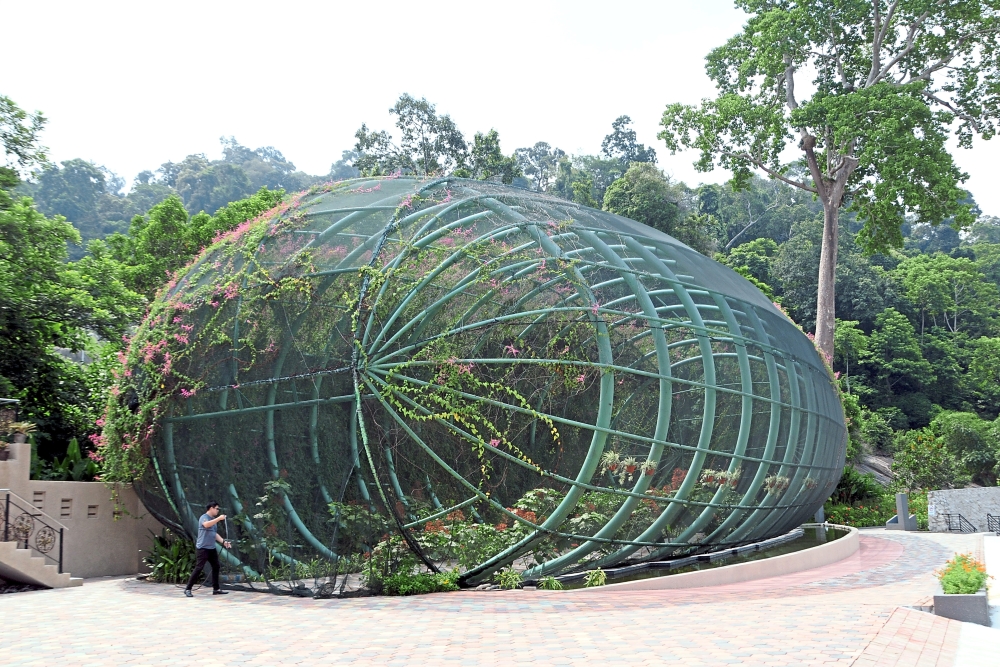 Geopark garden in bloom | The Star