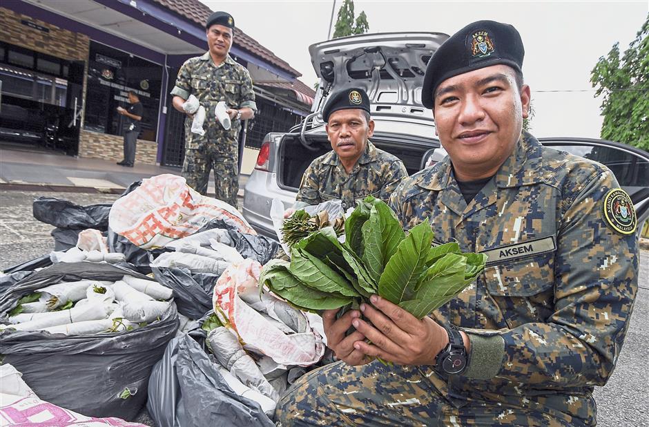 News nibbles | The Star