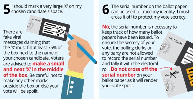 10 misconceptions about the voting process | The Star