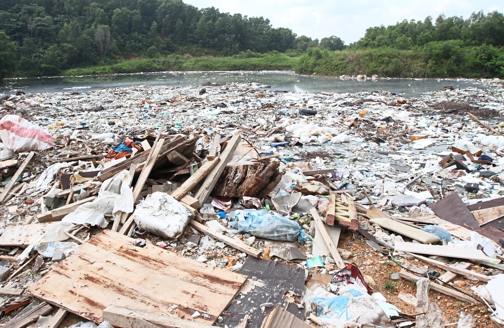 A roller coaster year in Subang Jaya | The Star