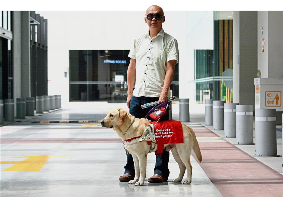 What Was The First Seeing Eye Dog