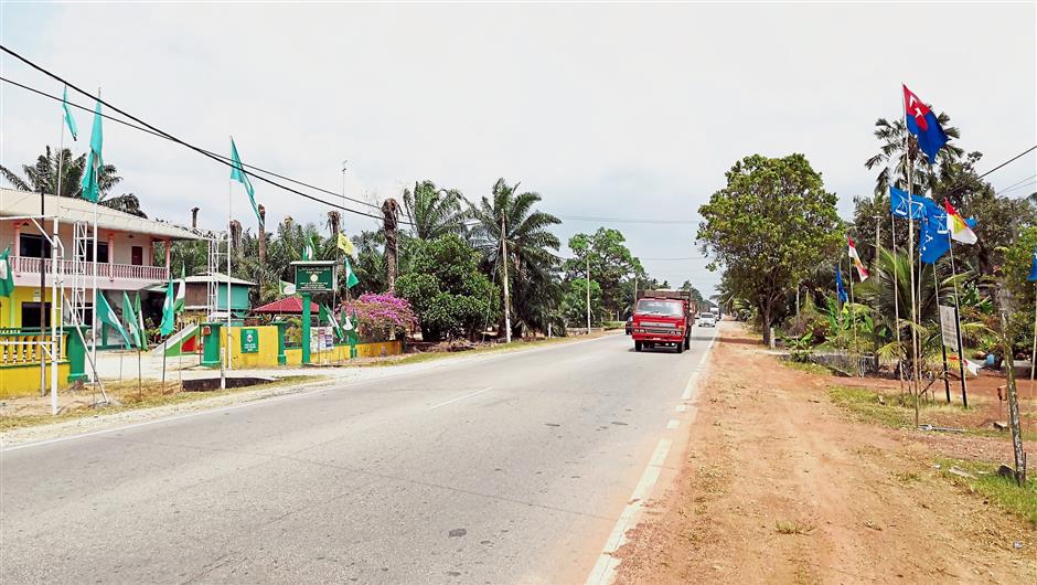 Party flags a colourful sight | The Star