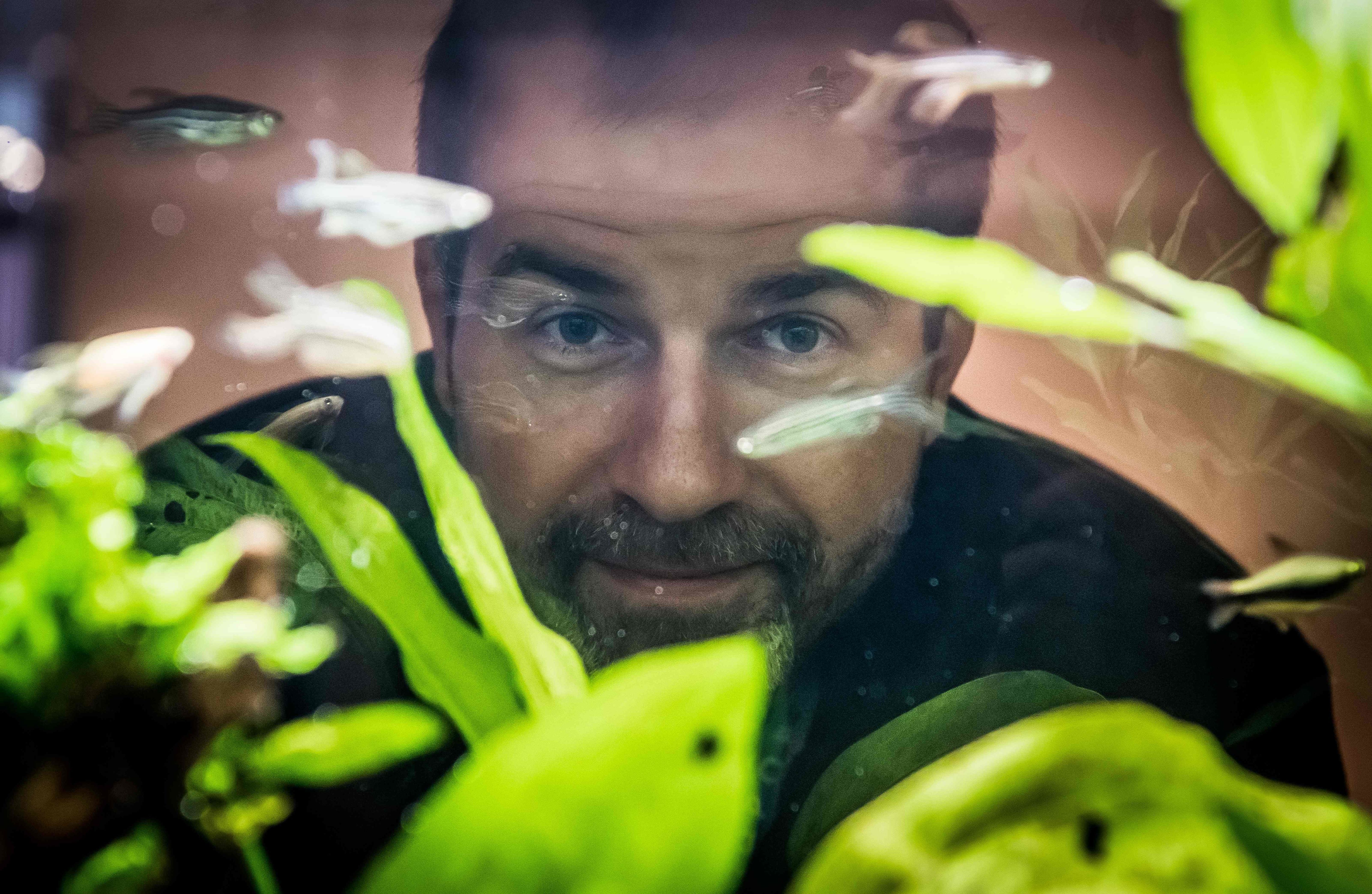 Revamped Russian animation goes for global audiences | The Star