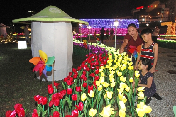 Dazzling garden of light | The Star